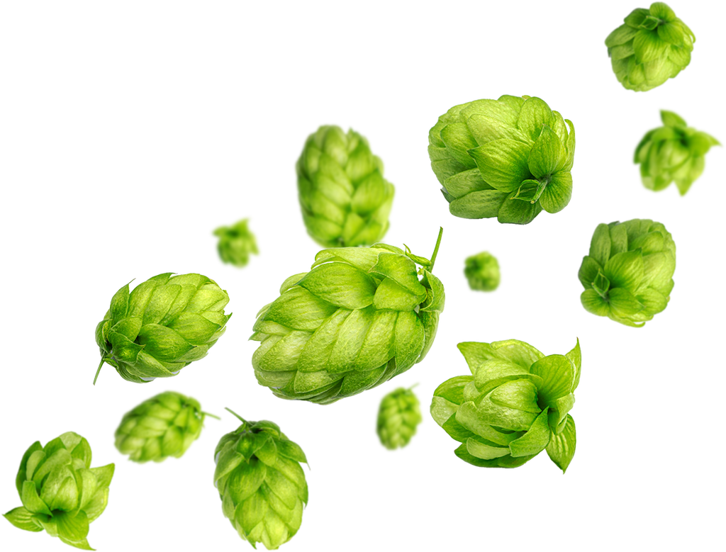 DD4D IPA（ディディーフォーディーアイピーエー）West Coast IPA | DD4D BREWING – DD4D BREWING ...